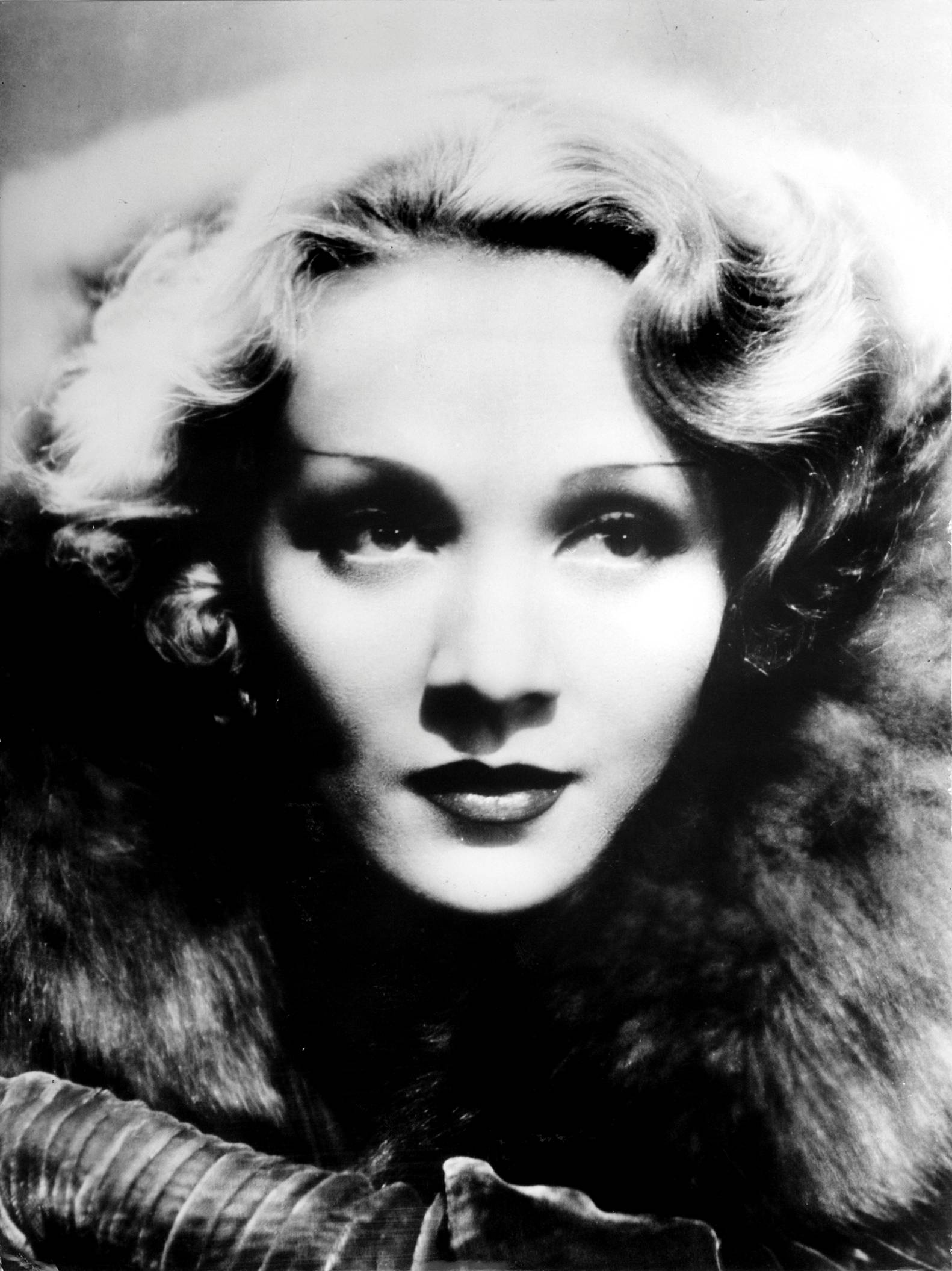 Marlene Dietrich Nrfpt